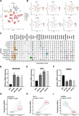 Frontiers | Integration analysis of senescence-related genes to predict prognosis and ...